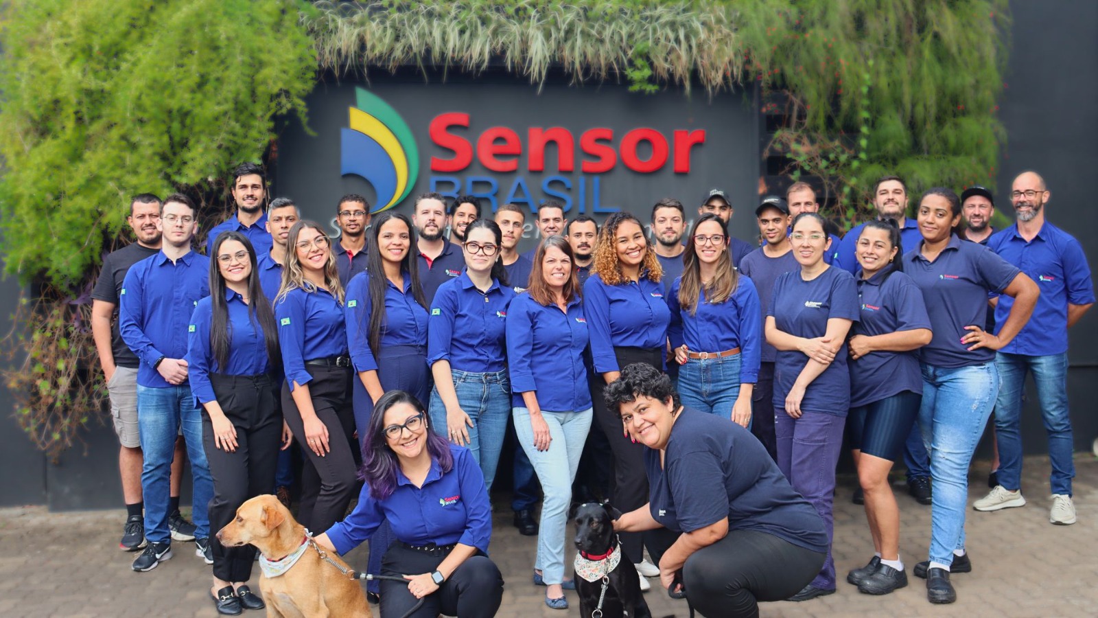 Quem somos – Sensor Brasil